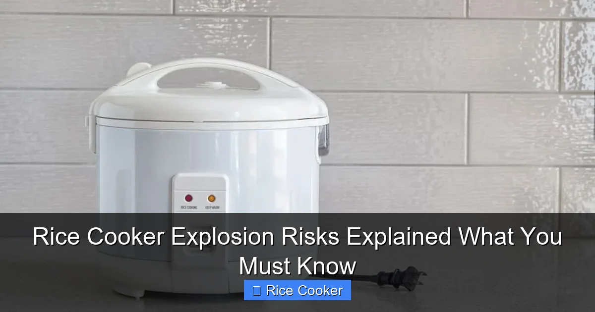 Rice Cooker Explosion Risks Explained What You Must Know | RecipesPalette